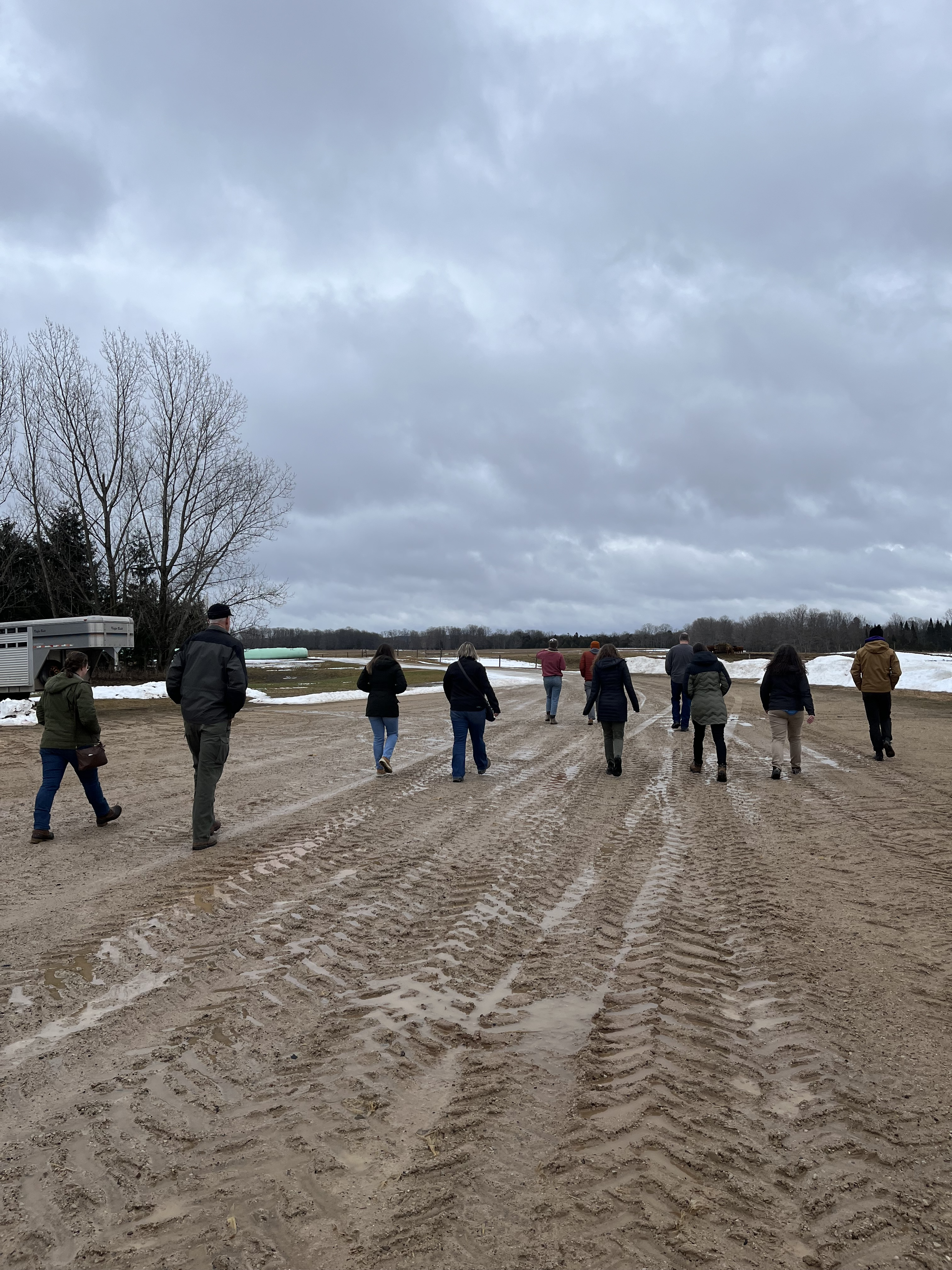 Project Updates - Agroforestry