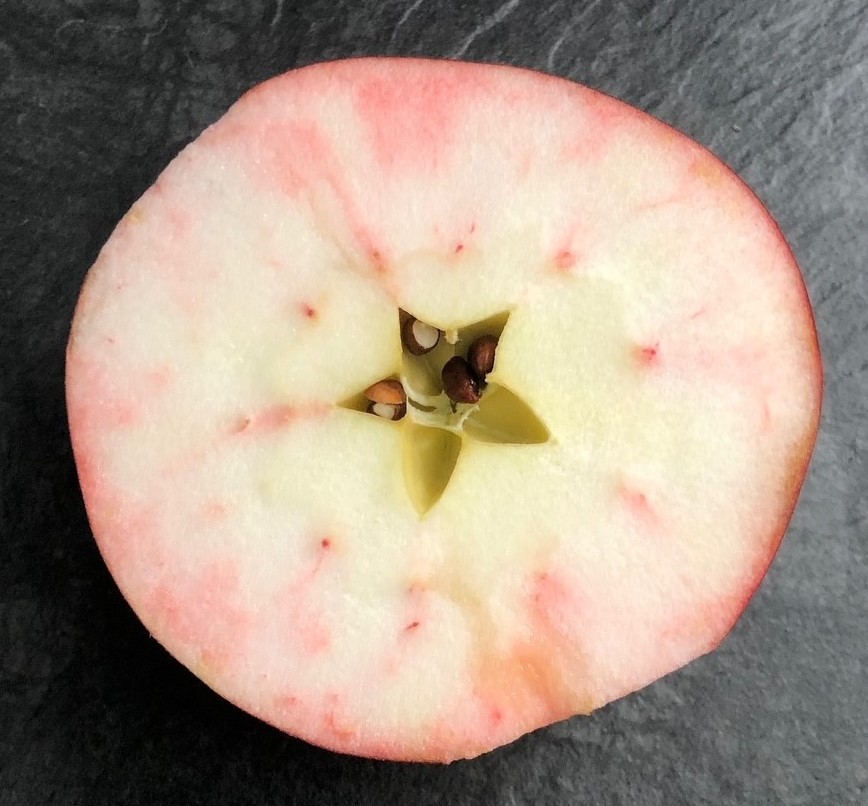 Grand Rapids area apple maturity report – Sept. 15, 2021 - Apples