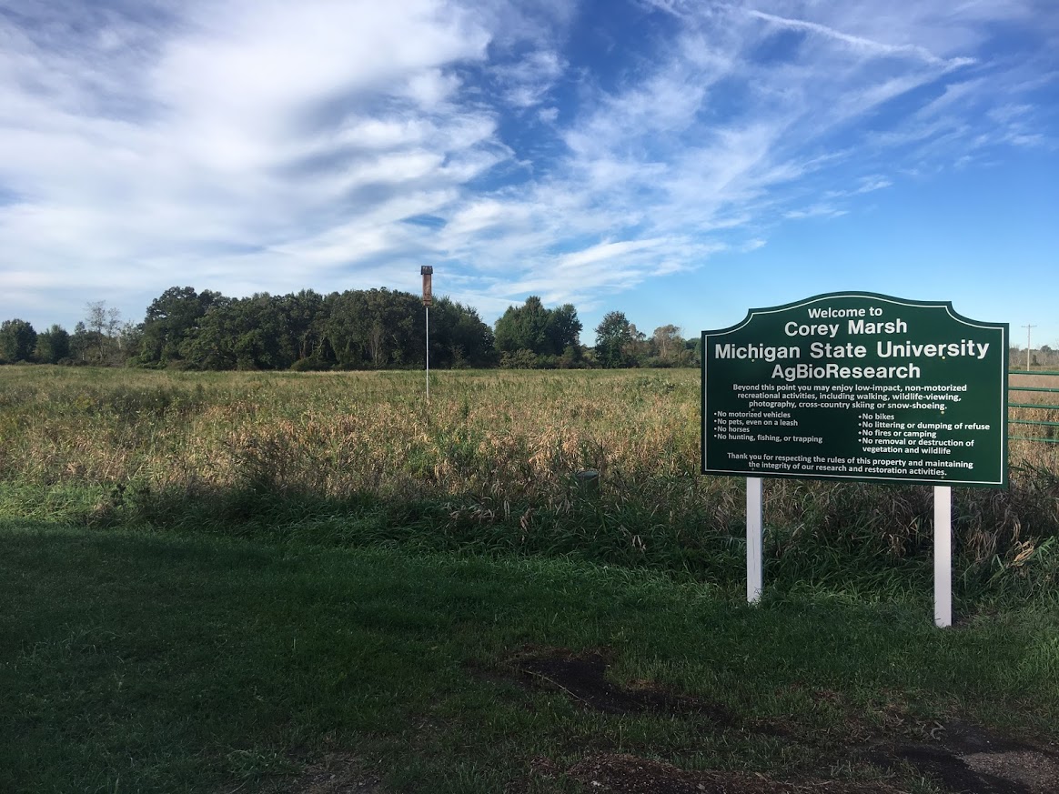 Events - Corey Marsh Ecological Research Center