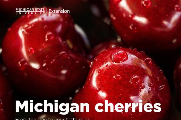 Bringing you the Michigan cherry on top - Partnerships and Peninsulas ...