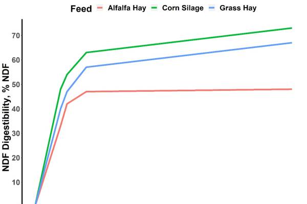 Getting the most out of your forage evaluation: Understanding NDF ...