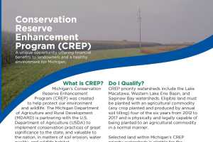 CREP Flyer - Conservation Reserve Enhancement Program