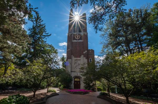 Message to the MSU Board of Trustees and Other Members of the MSU ...