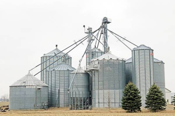 Drying and storing wet soybeans - Soybeans