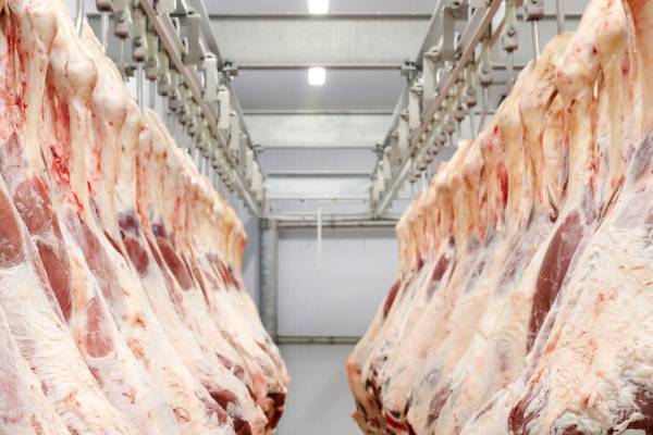 Meat Marketing & Processing