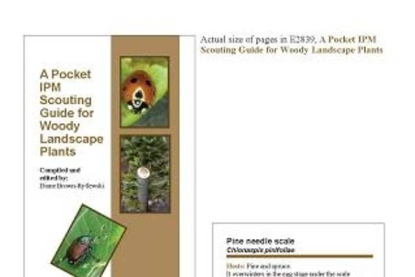 A Pocket Guide for IPM Scouting of Woody Landscape Plants - MSU Extension