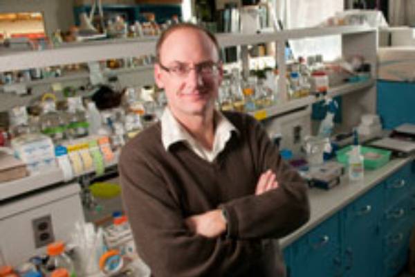 MSU faculty members recognized among the world’s most highly cited ...