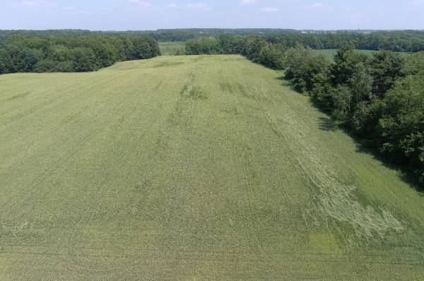 Southwest Michigan field crops update – June 16, 2022 - Field Crops