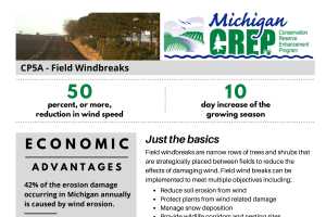 CP5A Field Windbreaks - Conservation Reserve Enhancement Program