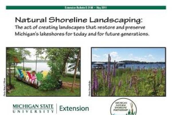 Natural Shoreline Landscaping - MSU Extension