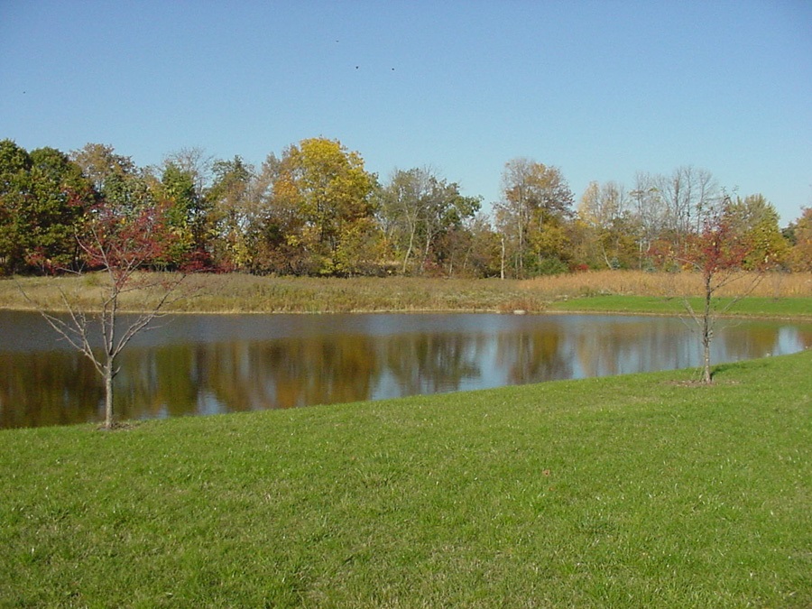 Maintenance Of Retention Basins