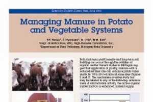 Managing Manure in Potato and Vegetable Systems - MSU Extension