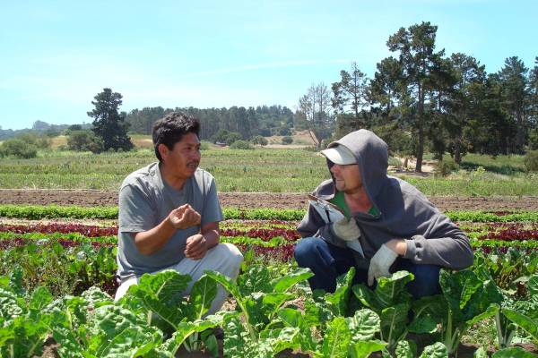 USDA Selects MSU Center for Regional Food Systems to Create Great Lakes ...