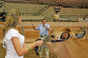 Showmanship 101 for all species - MSU Extension