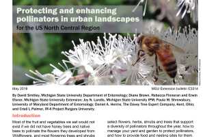 How to protect and increase pollinators in your landscape - Beekeeping ...