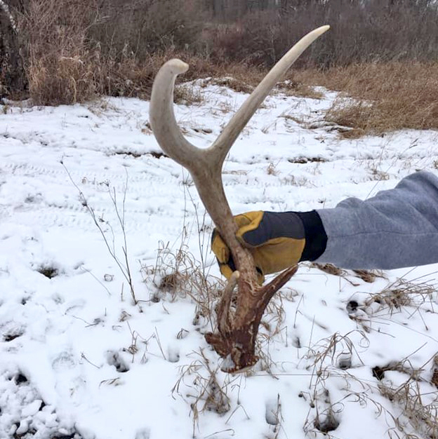 Deer Sheds