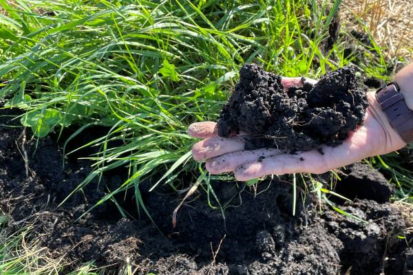 Soil Microbial Community Dynamics Across Michigan Farms - Soil Health