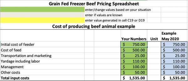 Grain Fed Freezer Beef Pricing Worksheet - Virtual Learning Showcase ...