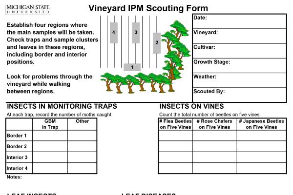 Vineyard IPM Scouting Form - Grapes