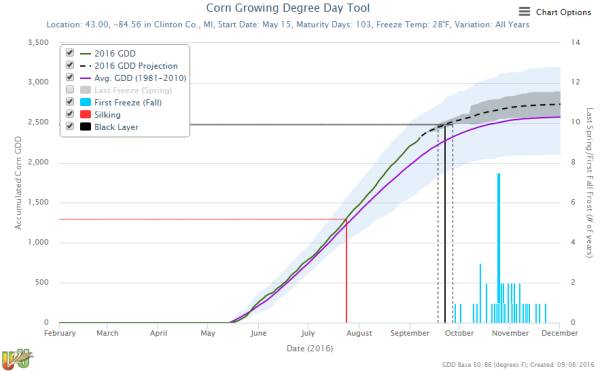 Above normal temperatures accelerate corn development - MSU Extension