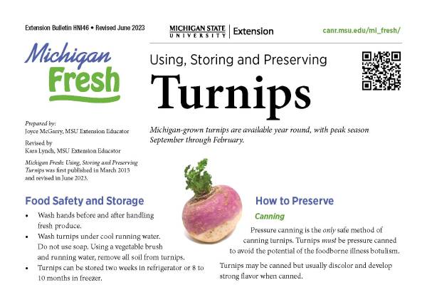 Michigan Fresh: Using, Storing, and Preserving Turnips (HNI46 ...