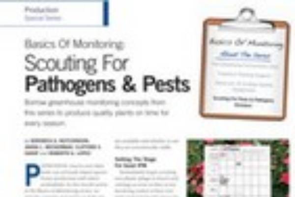 Basics of Monitoring: Scouting for Pathogens & Pests - Floriculture ...