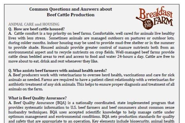 Common Questions and Answers about Beef Cattle Production - Breakfast ...