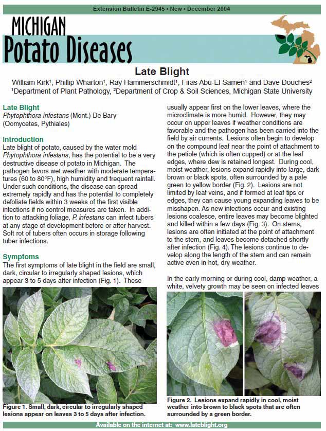 Phytophthora Infestans Potato Blight