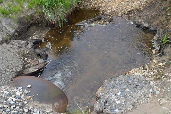 Interpreting Water Test Results - Agrifood Safety Interpreting Water Test Results - Agrifood Safety