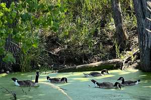 Advancing the understanding of PFAS and the environment - Department of ...