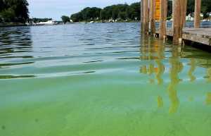 Online tool identifies areas where people in Michigan are at greatest ...