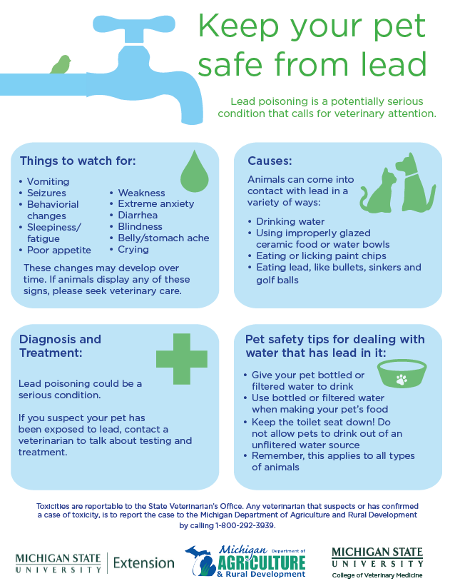 Lead Poisoning In Animals