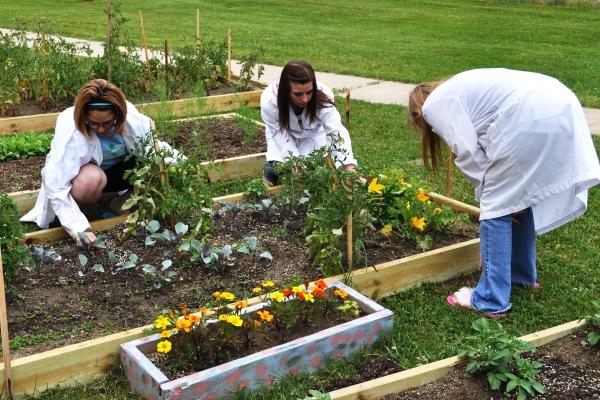Resources - Community Gardening