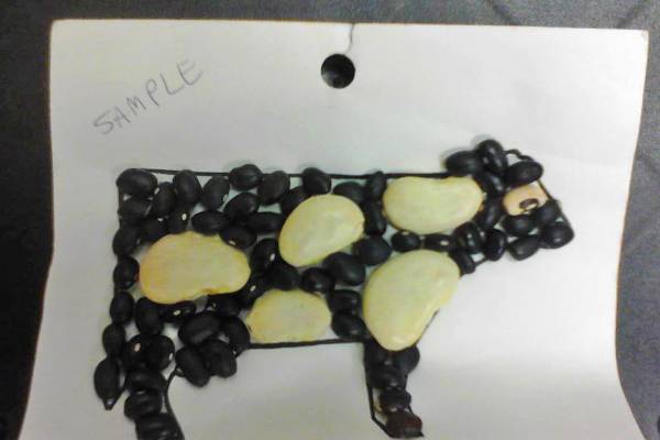 New Animal Science Anywhere lesson explores animal diets and career ...