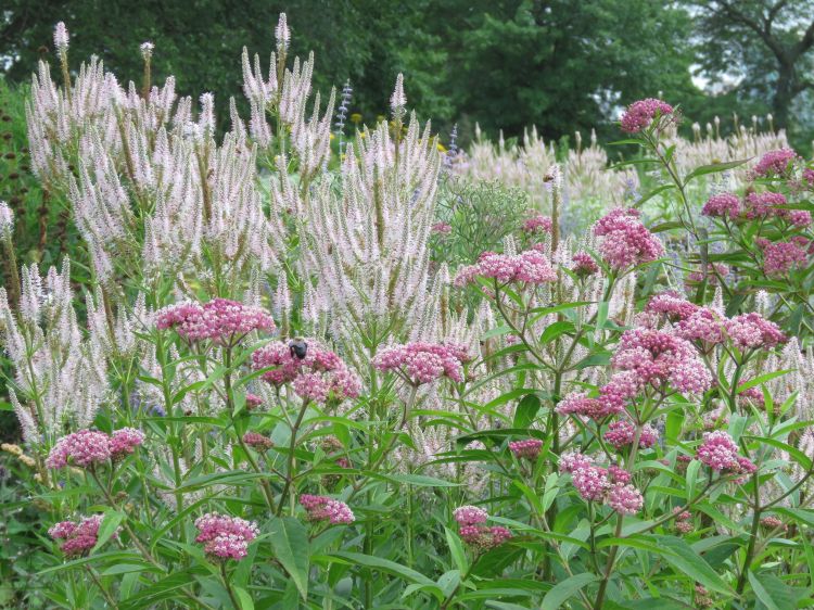 Registration begins soon for MSU Extension’s online Foundations of ...