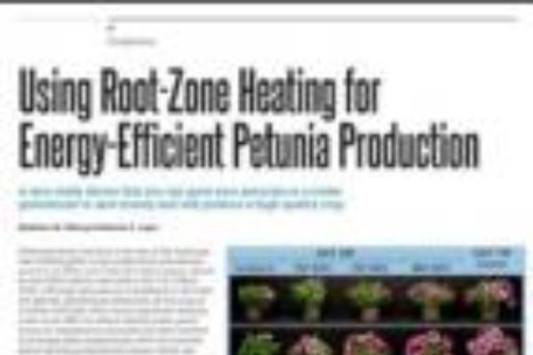 Using root-zone heating for energy-efficient petunia production ...