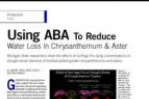Using ABA to reduce water loss - Floriculture & Greenhouse Crop Production