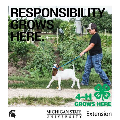 4-H Goat Workshop - Lenawee County