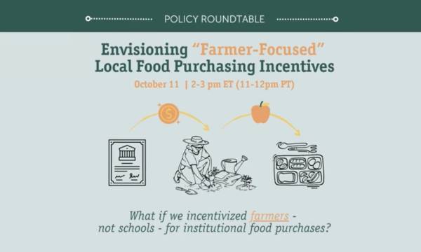 Envisioning Farmer-Focused Local Food Purchasing Incentive Programs ...