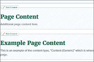 Reordering, Removing, and Editing Content using the Preview Screen in dotCMS - Web Team
