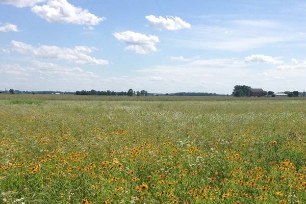 Protecting Michigan’s environment and wildlife through the Conservation ...