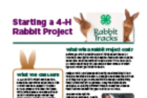 Resources - 4-H Rabbits & Cavies
