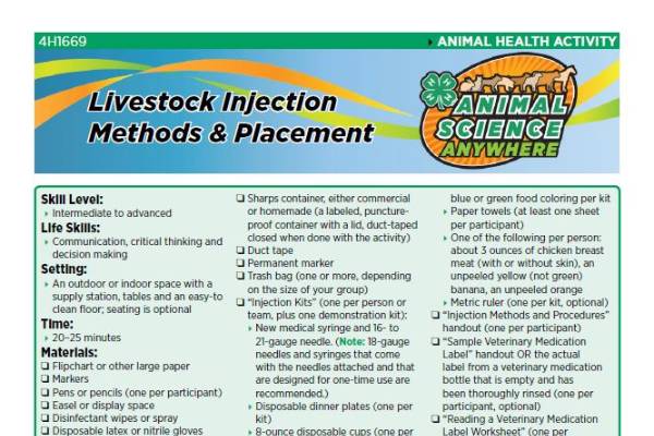 Livestock Injection methods & placement - 4-H Animal Science