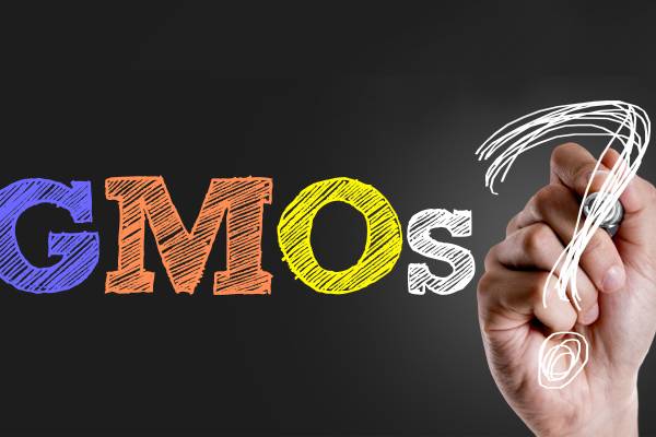 The Science Behind GMOs - AgBioResearch