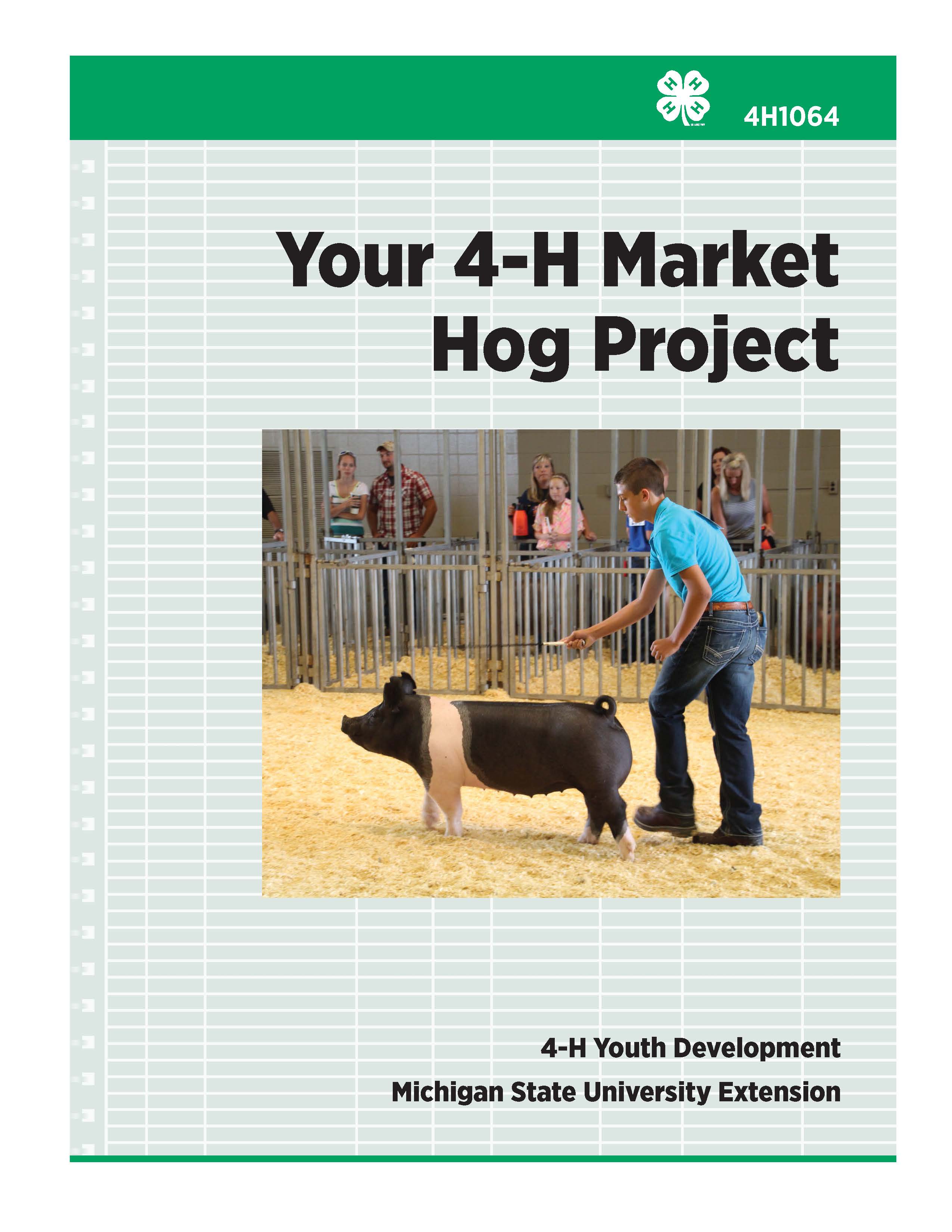 H Hog Project