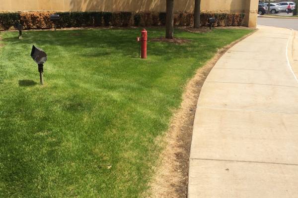 Tips for reseeding lawns in spring - MSU Extension