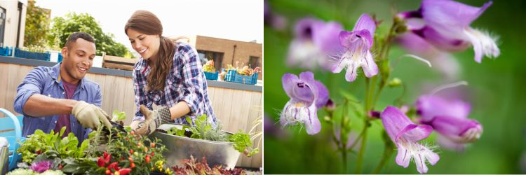 Scholarship applications are now open for MSU Extension’s fall online ...