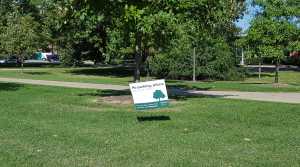 Protect tree roots from soil compaction - MSU Extension