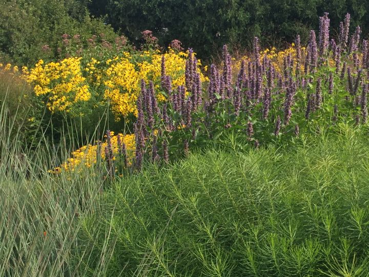 Msu Botanical Gardens Address | Fasci Garden