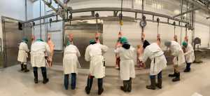 Meat Cutter Training Course